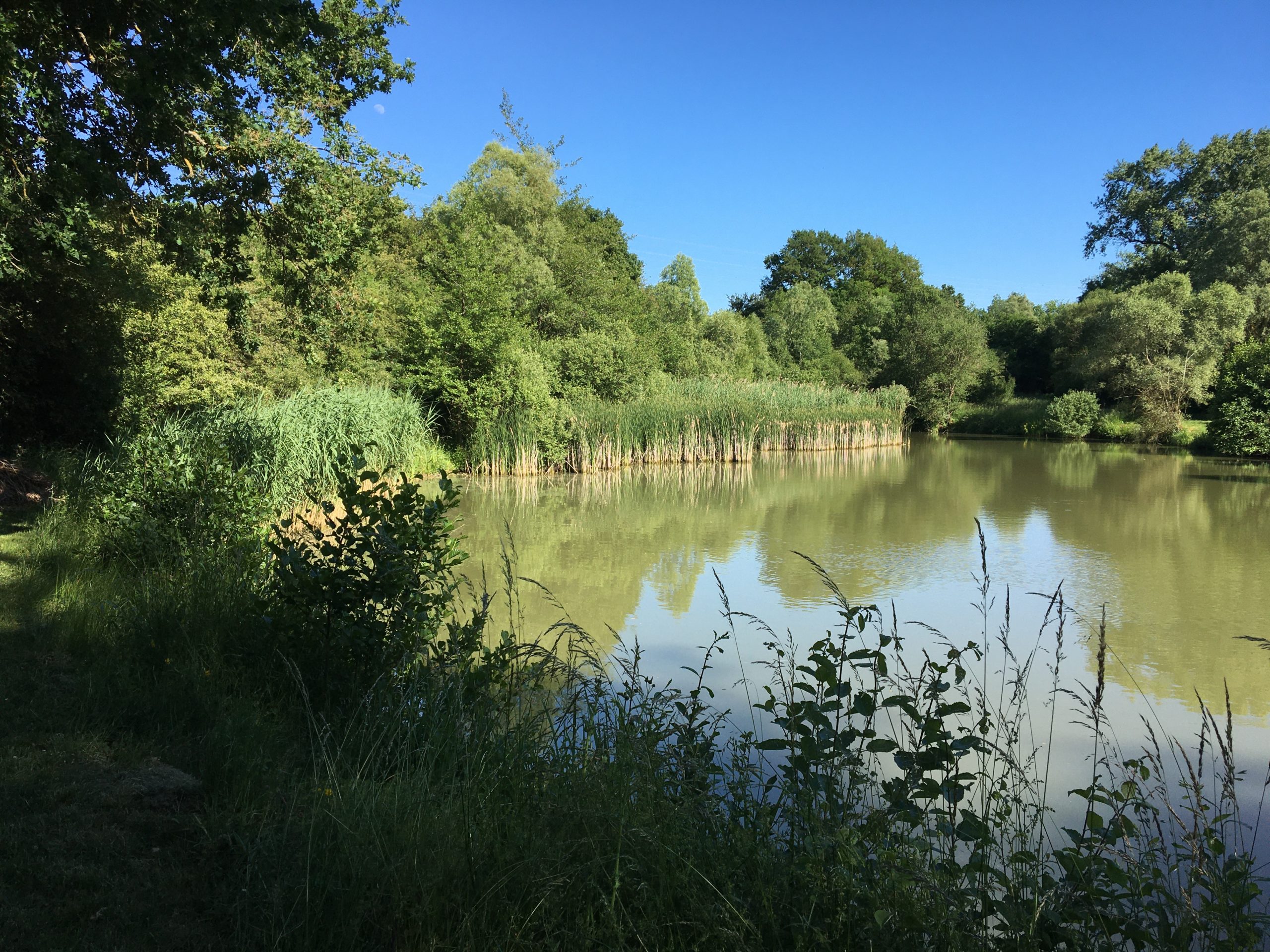 Mairie de Sanry-les-Vigy